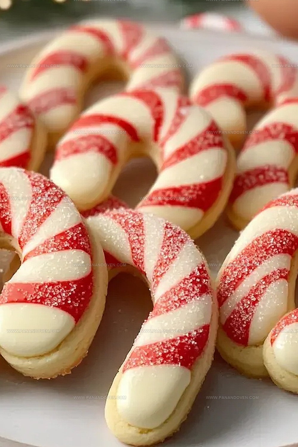 Try This Jolly Candy Cane Cookies Recipe This Holiday Season - Pan And Oven